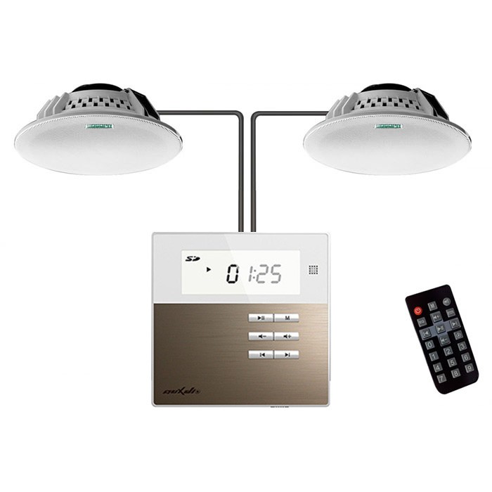 Трансляционный комплект DSPPA M2W (арт.M2W) Купить по цене 49 135₸ с ...